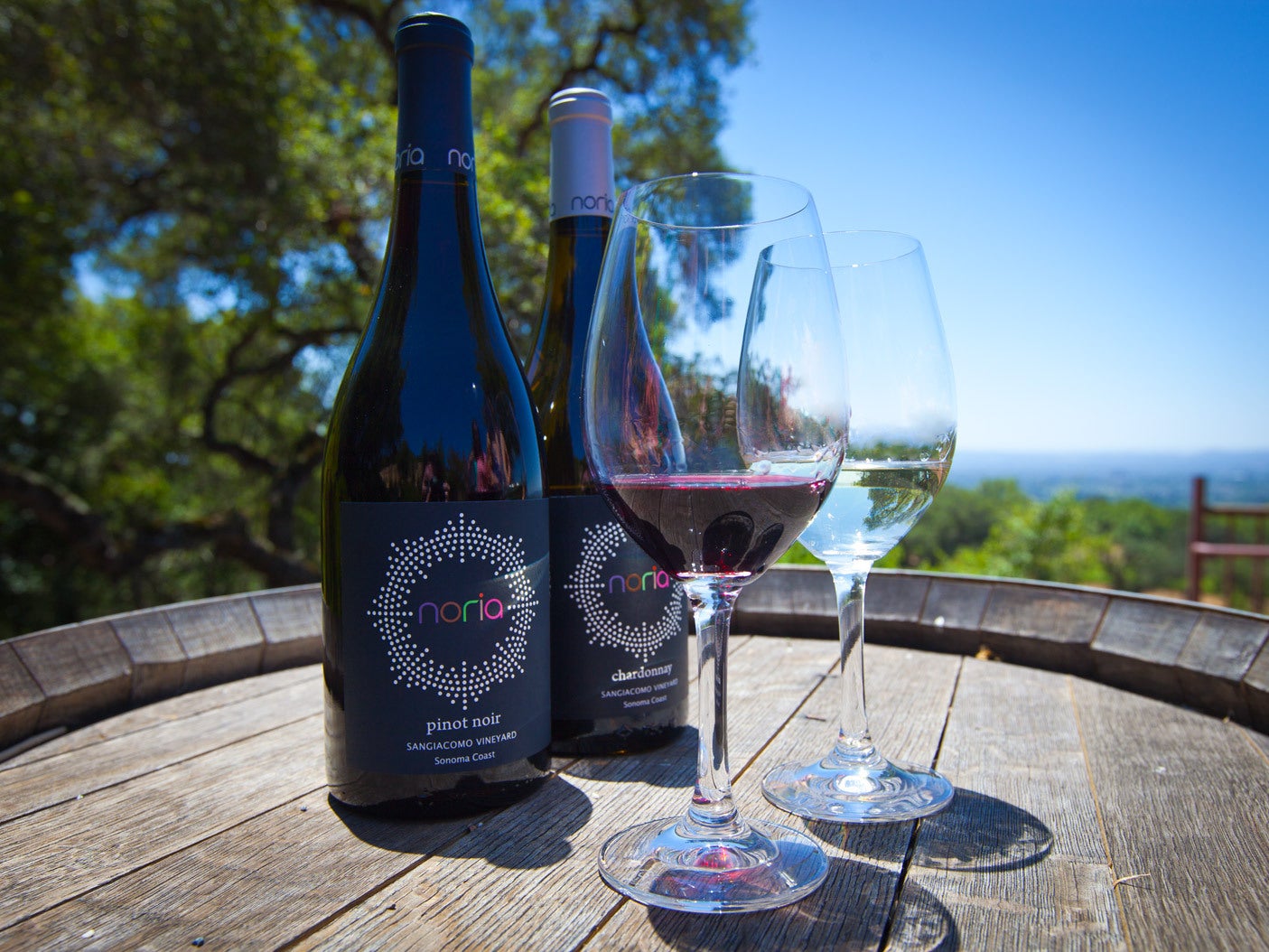 Nakamura Cellars, LLC.のストーリー｜PR TIMES