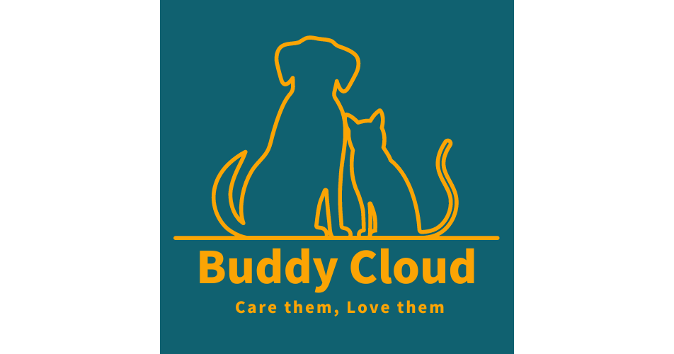 株式会社BuddyCloudのプレスリリース｜PR TIMES