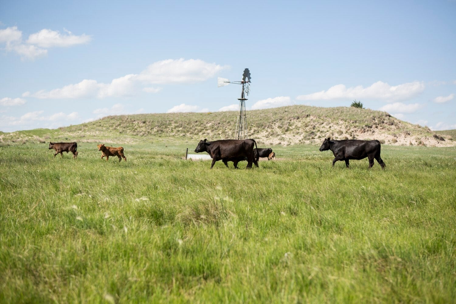 HORIZON FARMS 株式会社のストーリー｜PR TIMES