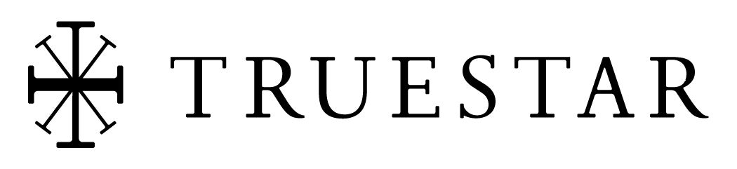 Snowflakeマーケットプレイスでデータ分析アプリを無償リリース！ | 株式会社truestarのプレスリリース