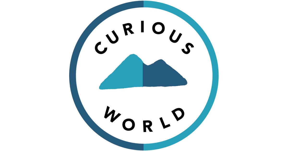 株式会社CURIOUS WORLDのプレスリリース｜PR TIMES