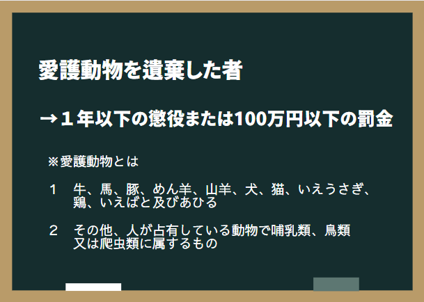 多発する猫遺棄事件につき、告発状が受理されました。 (2024年2月7日) - エキサイトニュース