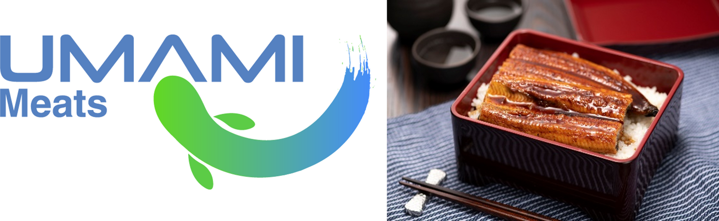 培養魚開発のパイオニア企業 シンガポールの「Umami Meats」海洋資源の保護、日本人の魚食文化を守るため、日本進出決定！｜Umami ...