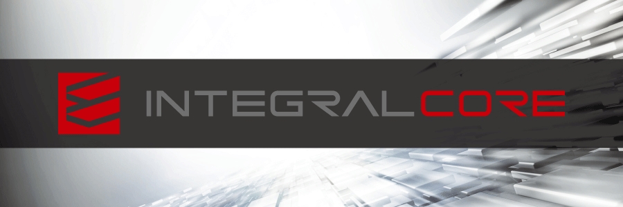 リアルタイムを実現するプライベートDMP「INTEGRAL-CORE（インテグラルコア）」の提供開始｜株式会社EVERRISEのプレスリリース