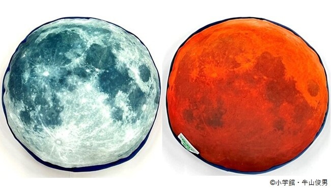 【小学館の図鑑NEO×HugKum 自由研究コンクール開催！】「図鑑ネオぽけっと全巻セット」や「小学館の図鑑NEO パソコン」など豪華賞品が当たる！｜株式会社小学館のプレスリリース