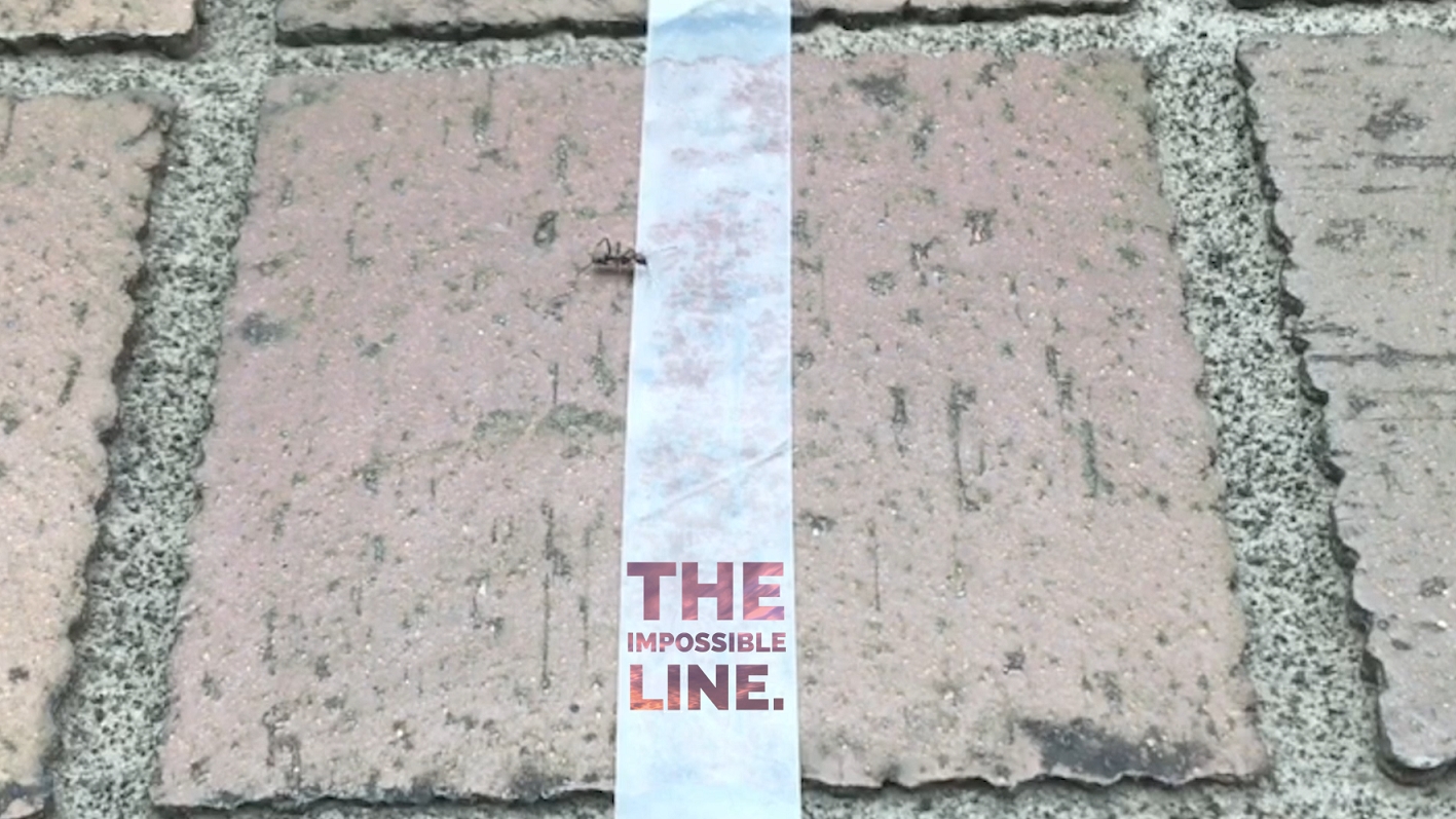 虫と人との間にも、一線を。「THE IMPOSSIBLE LINE.」公開！｜ダイオ化成株式会社のプレスリリース