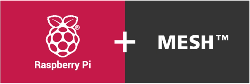 ソニーのMESH™が、Raspberry Piに対応したMESHハブアプリケーションを配布開始。IoTがもっと身近に。｜ソニーグループ株式会社のプレスリリース