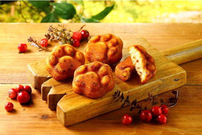 おかげさまで2周年！可愛いも美味しいもお届け！「neko chef(ネコシェフ)」が、「2周年記念セット」を限定販売！さらに「マグカップ ...