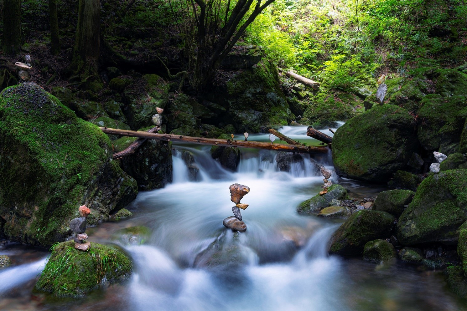 THE GALLERYセレクション展 Hiroshi Yoshida展「永-tokoshie」 を開催｜ニコンIJのプレスリリース