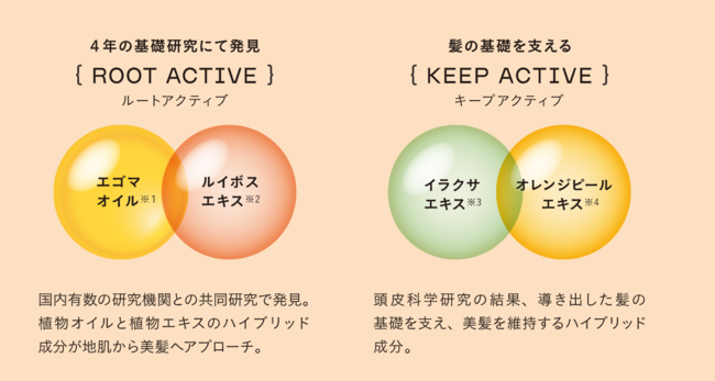 大人の髪こそ愛が必要！10代のころのような美しい髪を目指すスカルプケアブランド『DEMI DO（デミドゥ）』本日発売！ – STORY [ストーリィ] オフィシャルサイト