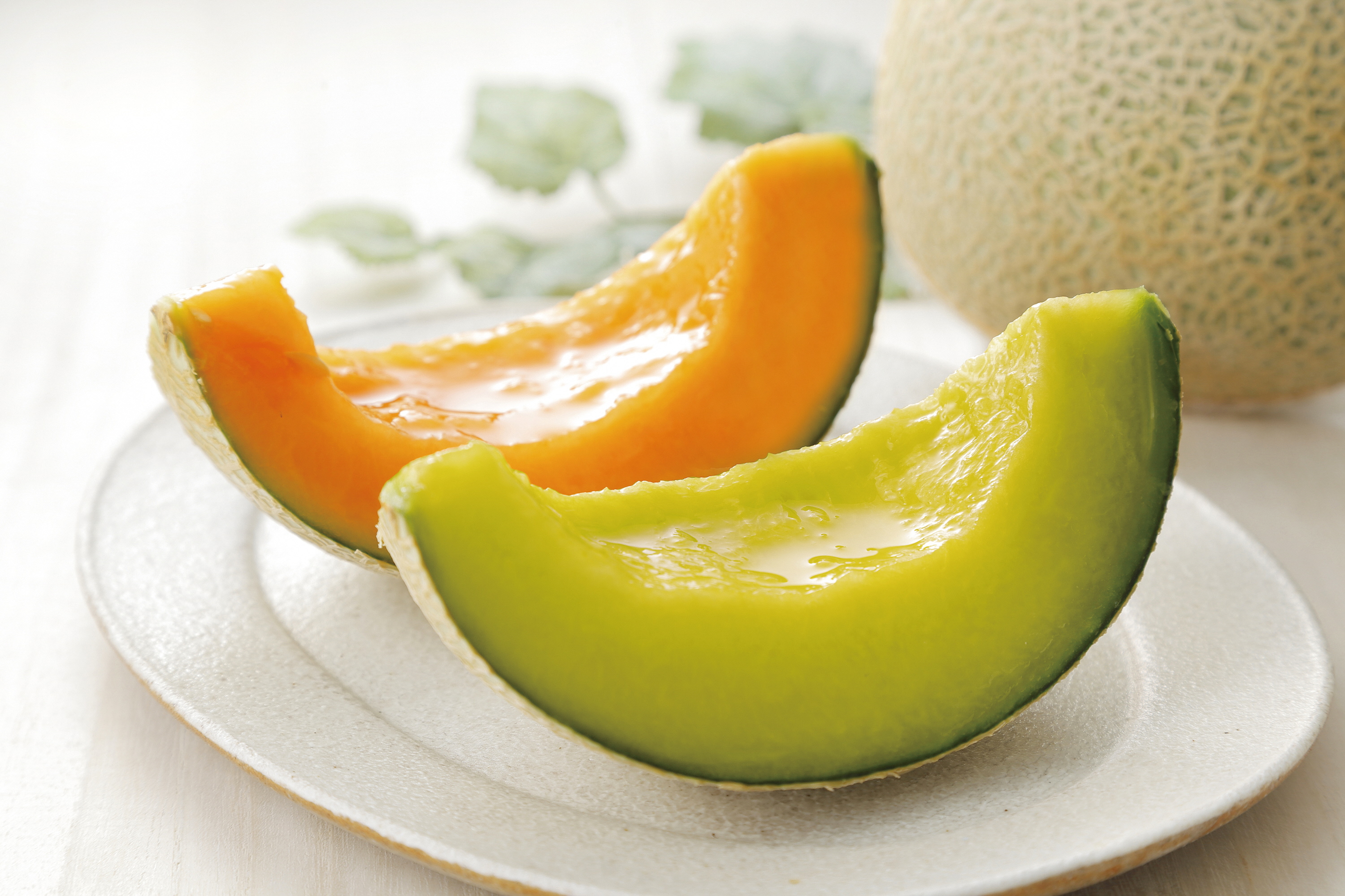 メロンの日 MELON THANKS DAY 2017 人気お笑いコンビ「カミナリ」もメロンPRに駆けつけます｜鉾田市のプレスリリース