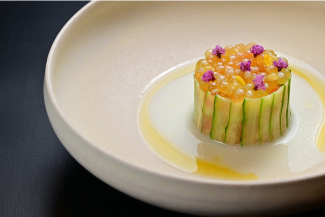 近畿日本ツーリストの旅の贈り物「ベストセレクション」 最上級カテゴリ「煌（きらめき）」発売！｜KNT－CT HDのプレスリリース