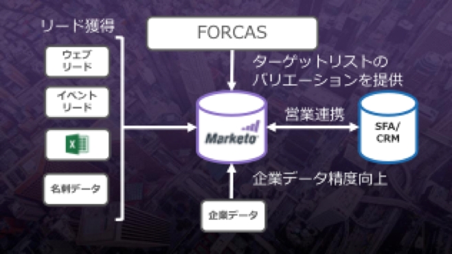 高度なターゲティングで重点顧客の収益最大化を実現する"ABM"で 「FORCAS」と「Marketo」が連携｜株式会社マルケトのプレスリリース