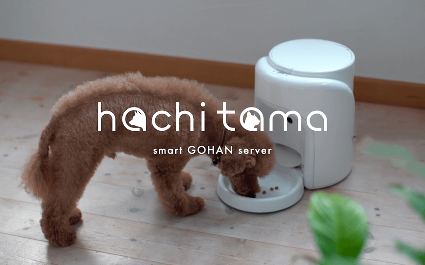 ～増大するペットの医療費問題をIoTで解決！～ スマートごはんサーバー『 hachi tama / ハチタマ 』国内初のペットヘルスケアIoTサービス｜トレッタキャッツのプレスリリース