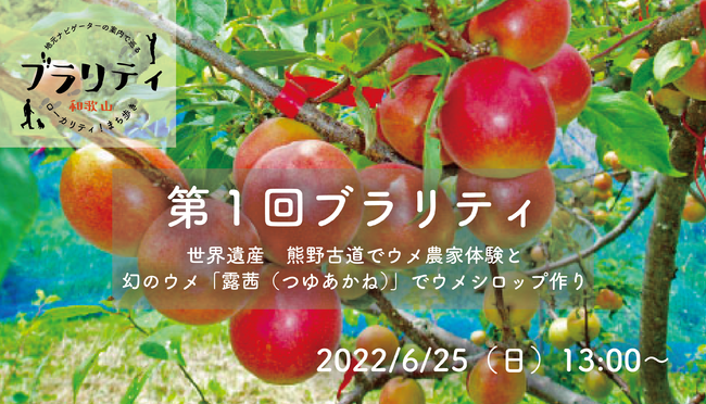 地元民が“ナビゲーター”となる、魅力発掘まち歩き「ブラリティ」始動 第1回は、世界遺産・熊野古道でウメ農家体験｜合同会社イーストタイムズの ...