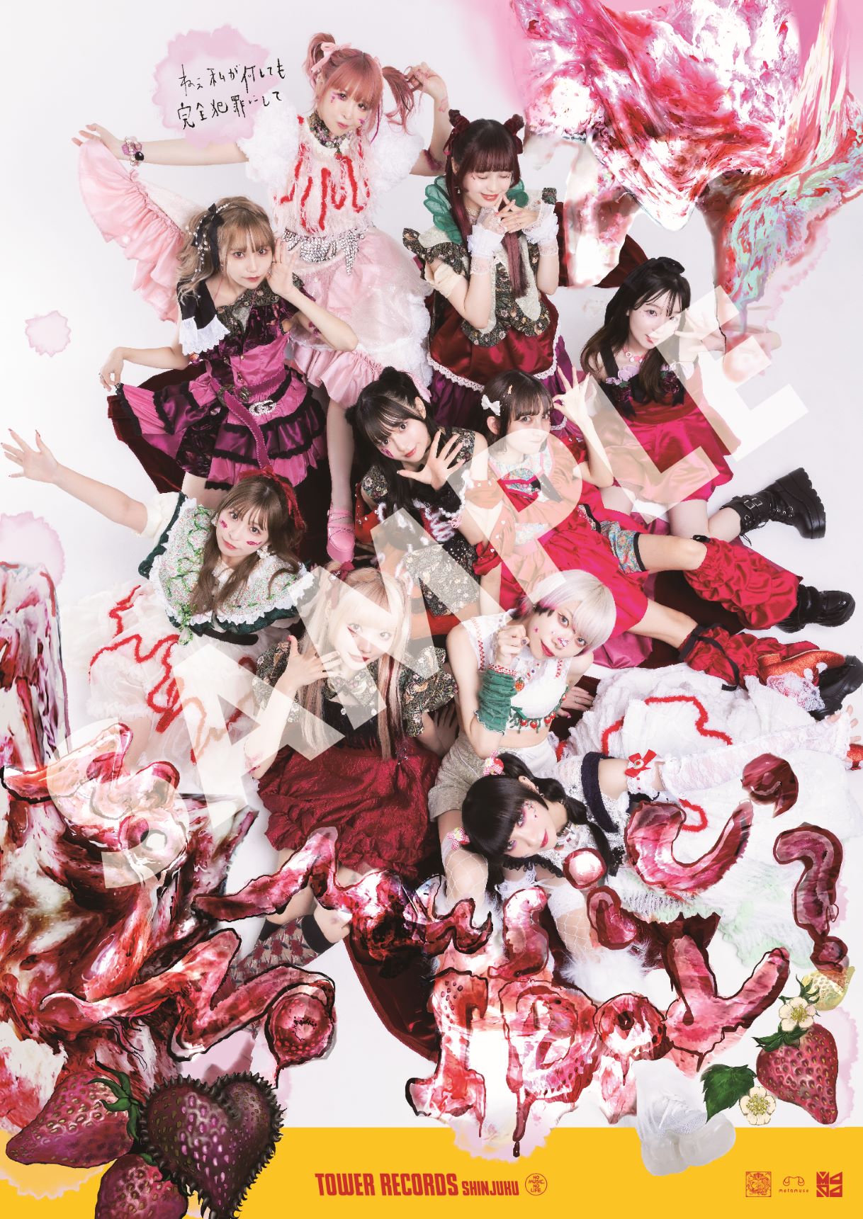 新宿店発、アイドル企画「NO MUSIC, NO IDOL?」ポスター VOL.289 METAMUSE×MAPAの超強力スプリット作品発売 ...