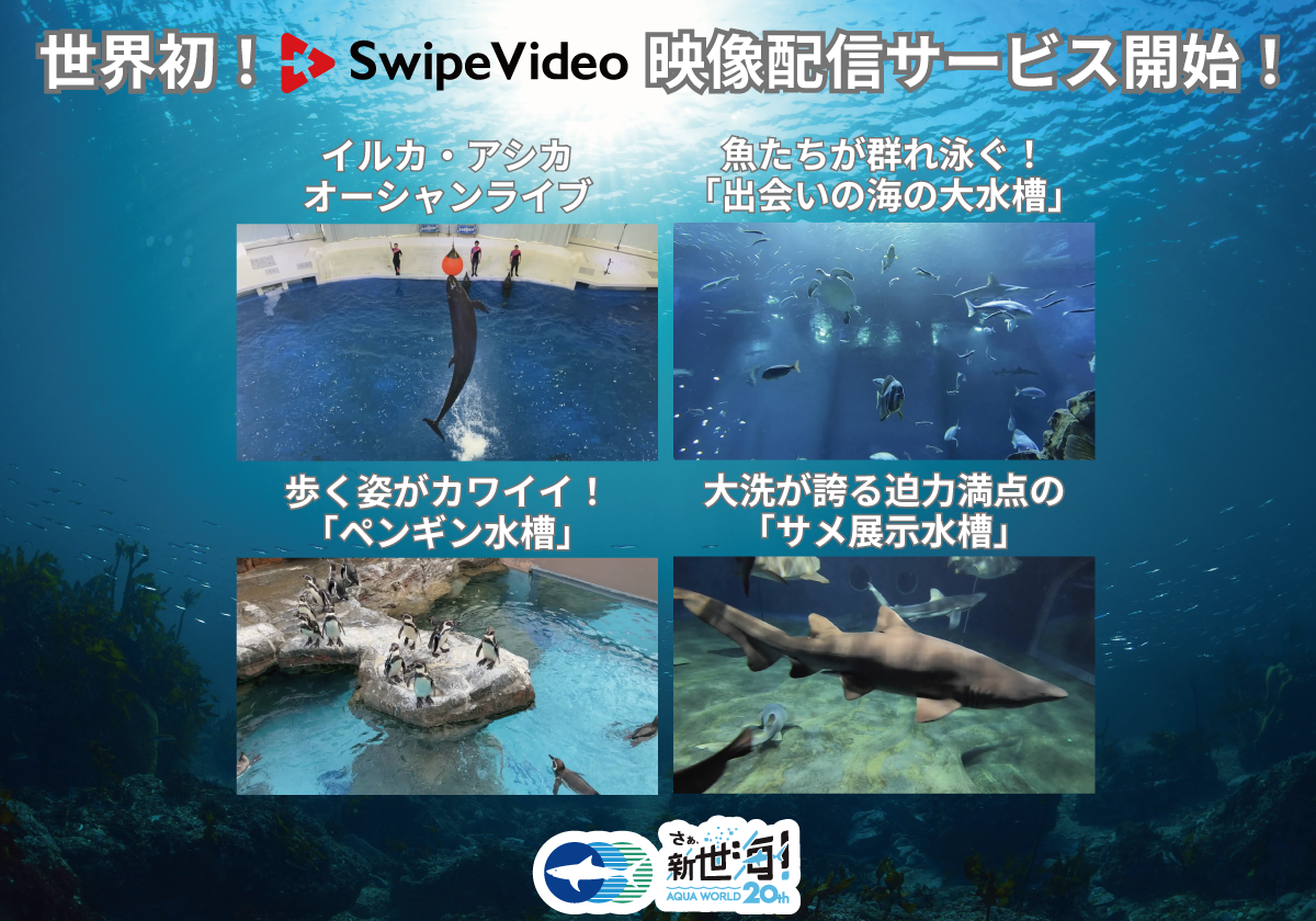 世界初！アクアワールド茨城県大洗水族館が海の動物や魚などのマルチアングル映像（最大20アングル）をSwipeVideo（国際特許技術）で有料配信！｜AMATELUSのプレスリリース