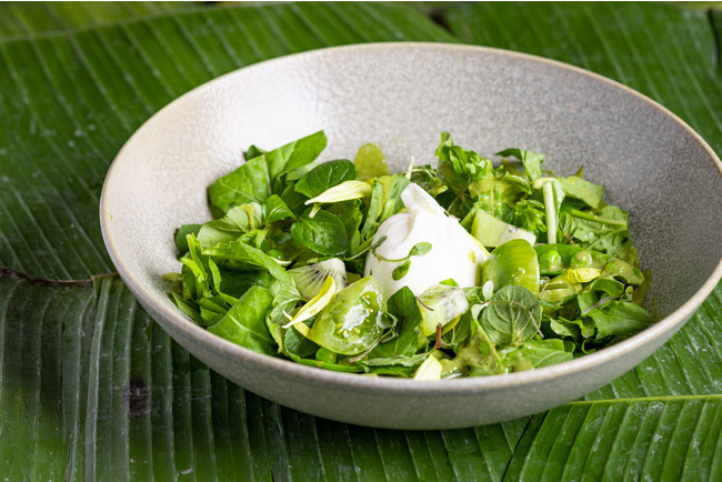 旬のフレッシュハーブと新物の野菜をたっぷりと使った新緑の季節限定スペシャルメニュー。HUGEが展開するモダンアジアンレストラン4店舗にて4月 ...