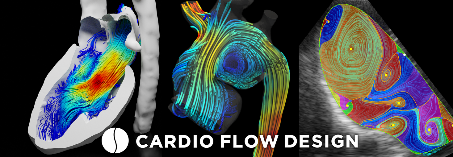 血流解析™を行うCardio Flow Designが文科省研究機関認定｜株式会社Cardio Flow Designのプレスリリース