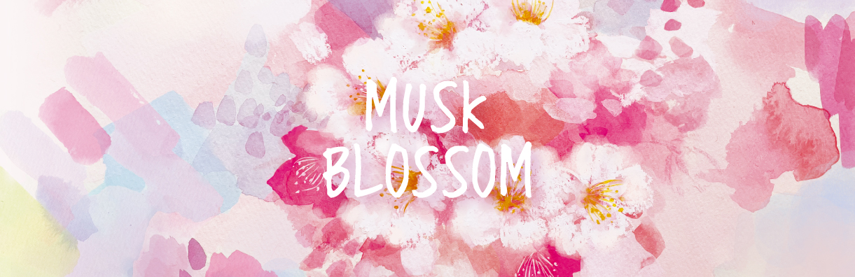 【John's Blend】桜をまとった春の香りを胸いっぱいに吸い込む。「MUSK BLOSSOMシリーズ」が発売！｜ノルコーポレーションの ...