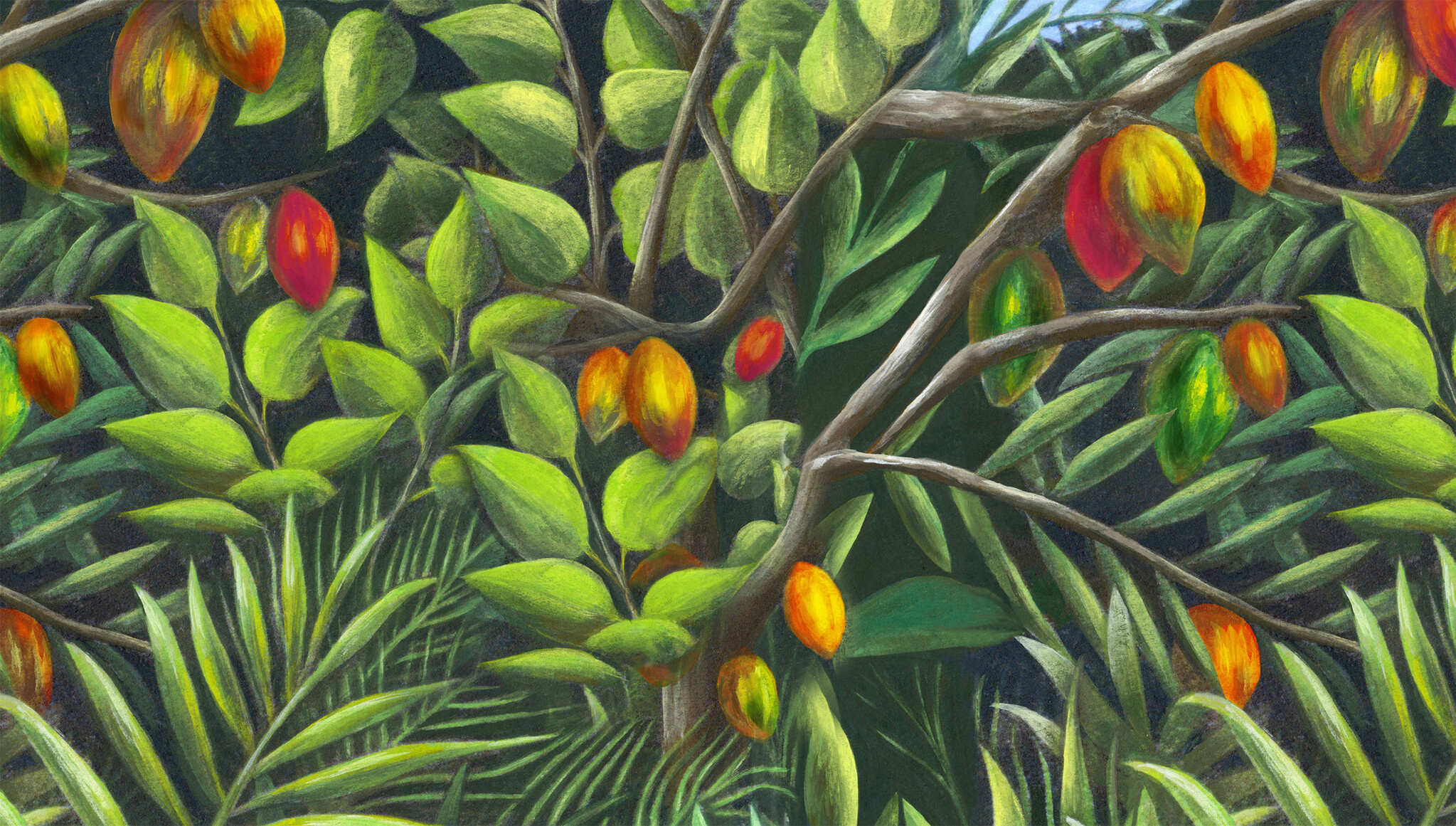 スペイン最高級のチョコレートブランドCACAO SAMPAKA期間限定ストアをバーニーズ ニューヨークで初開催｜株式会社バーニーズ ジャパンの ...