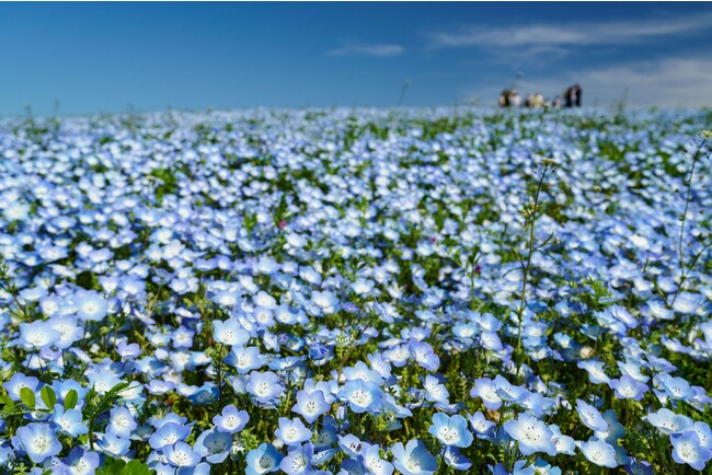 事業承継マッチングプラットフォーム「relay」、茨城県ひたちなか市に特化した後継者募集の特設ページ「relay the local ...