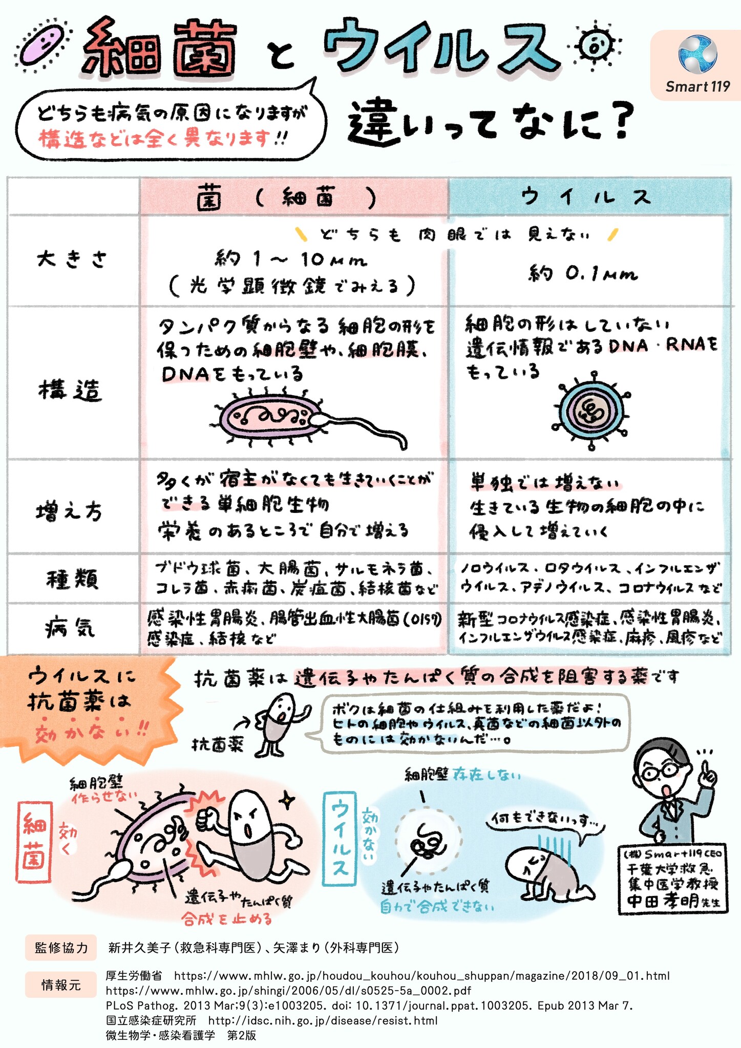 ウイルスと細菌と真菌 – 細菌 真菌 違い わかりやすく | ウィルス感染と細菌感染の違いとは？違いを解説 – RPBYIS