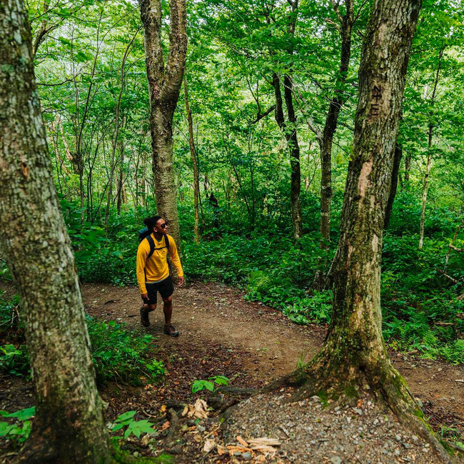 高品質なウールブランドibexが日本再上陸｜ibex japanのプレスリリース