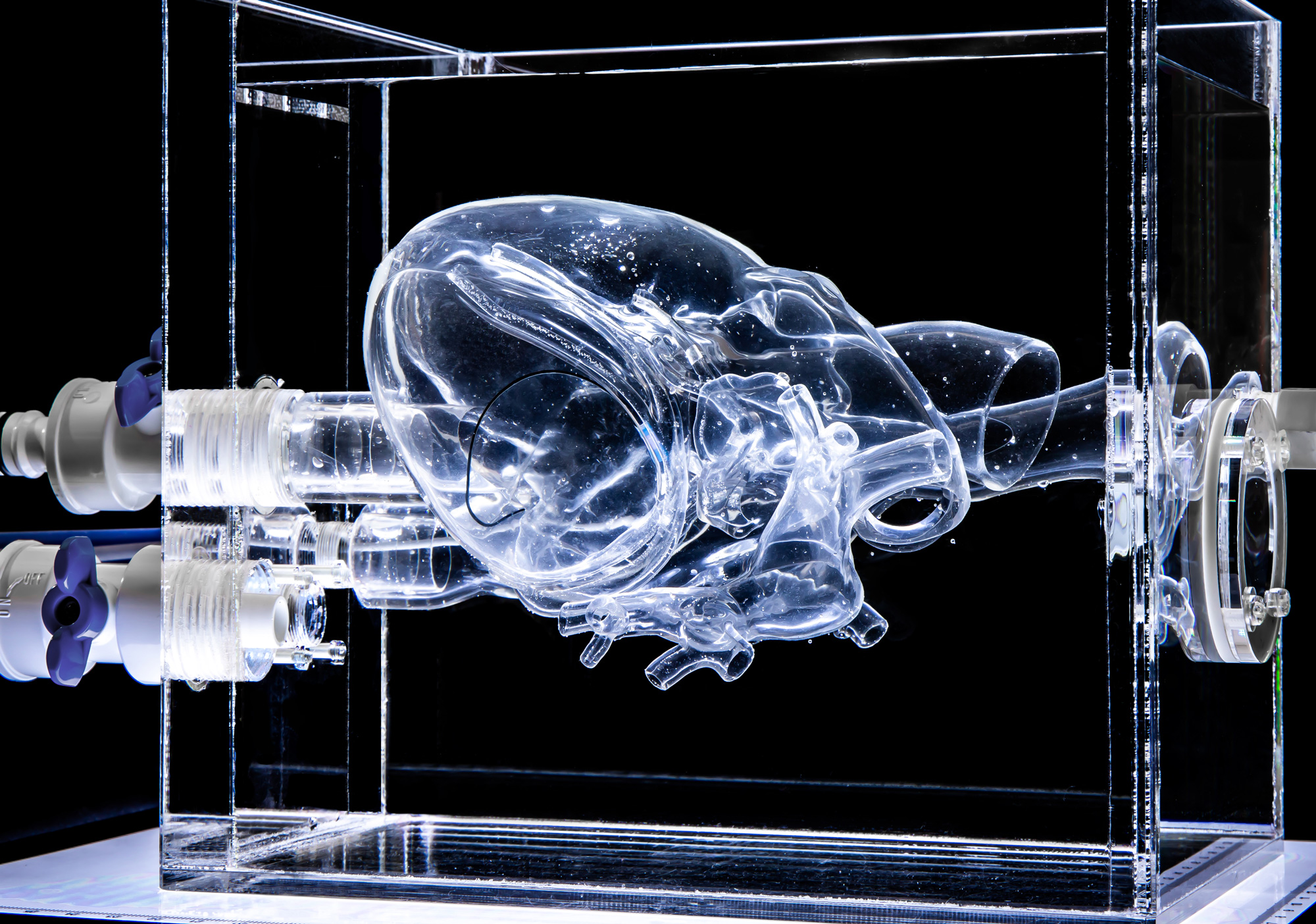 HEARTROID（ハートロイド）PROJECT が開発した心臓カテーテルシミュレーターが米国The Good Design Awards 2020 を受賞｜株式会社JMCのプレスリリース