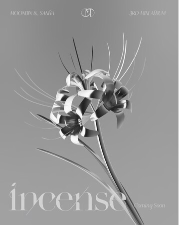 MOONBIN&SANHA（ASTRO）3rd Mini Album [INCENSE]が2023年1月11日(水)に日本限定特典付きでの国内発売決定！｜株式会社HIANのプレスリリース