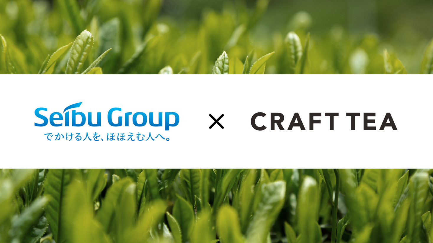 西武グループと初の協業 静岡県発祥のお茶のおみやげ 「Chabacco（チャバコ）」を、西武鉄道の駅構内（所沢駅・本川越駅）にて9月1日より ...