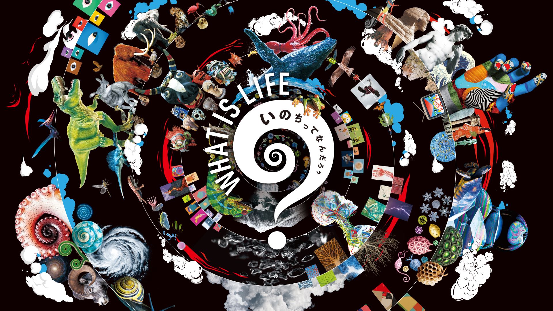 ES CON FIELD HOKKAIDO の革新的ミュージアム 「tower eleven museum」 展覧会名「WHAT IS ...