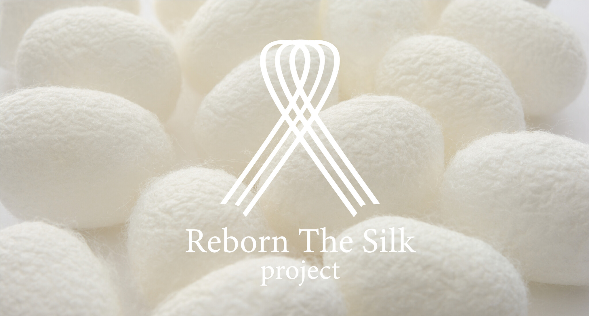 幻の国産蚕を復刻！「Reborn The Silk プロジェクト」スタート｜日本和装ホールディングス株式会社のプレスリリース