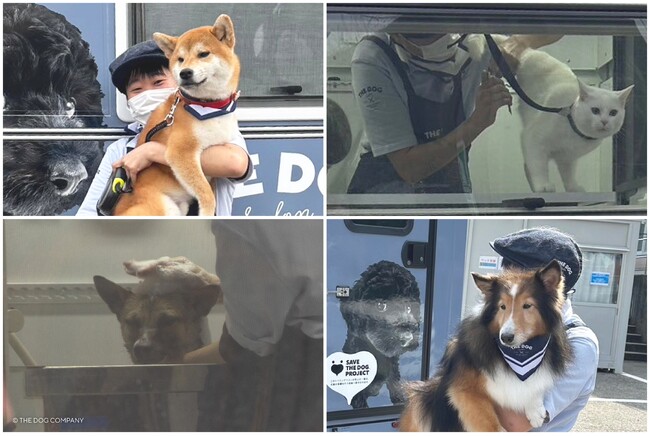 THE DOG(TM) Salon Trimming Wagon × ピースワンコ・ジャパン 能登半島地震被災者支援 出張トリミングを実施 ...