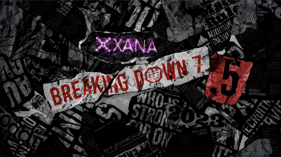 XANA presents BreakingDown7.5プラチナスポンサーにSAWAが就任！｜BreakingDown株式会社のプレスリリース