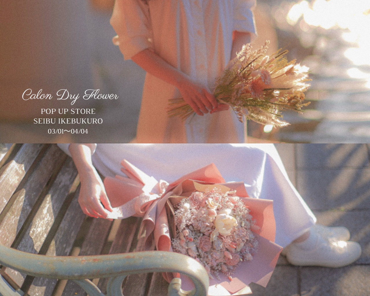 ドライフラワー専門店「Calon DRY FLOWER」西武池袋本店POP UP開催｜株式会社ハナプロのプレスリリース