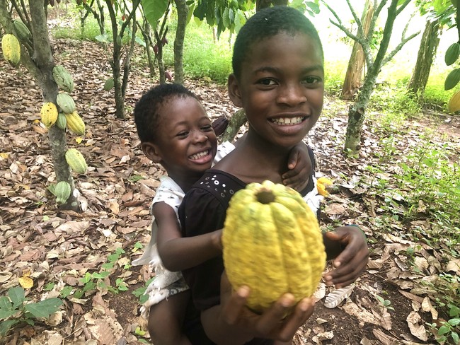 アフリカ・ガーナに唐揚げ屋さんをオープン！「からあげ×養鶏」で、小規模農家5億人の暮らしに変革を起こす。｜YOOFIN Ltd.のプレスリリース