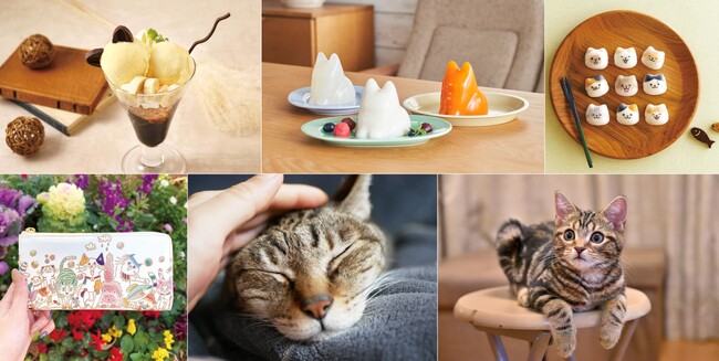 2月22日は「猫の日」!東京ソラマチ R 猫の日フェア:マピオンニュース