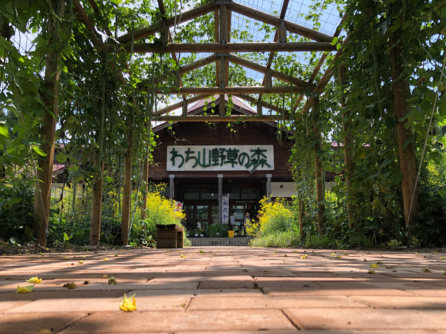 開幕まで1年！「第43回全国都市緑化フェアin京都丹波」開幕までのカウントダウン開始！：紀伊民報AGARA｜和歌山県のニュースサイト