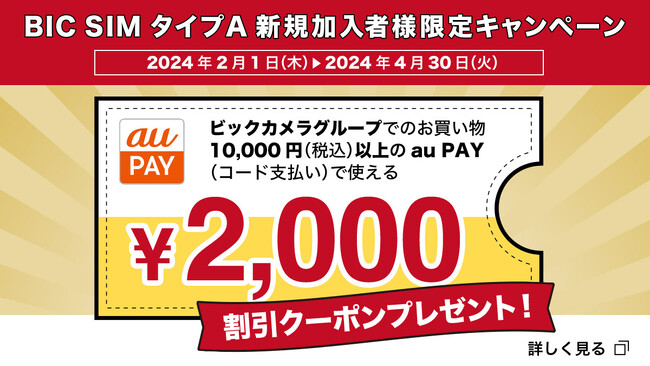 【BIC SIM】タイプA（au回線）お申込み限定でau PAY2,000円引きクーポンプレゼント：マピオンニュース